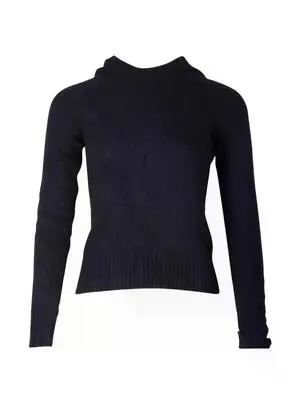 Ralph Lauren Hooded Wool Sweater - Blue
