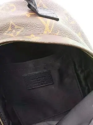 LOUIS VUITTON Mini Palm Springs Backpack - Brown