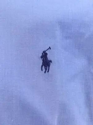 Polo Ralph Lauren Stretch Cotton Shirt