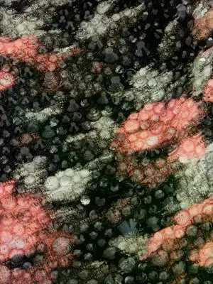 GANNI Beaded Floral Print Tote Bag