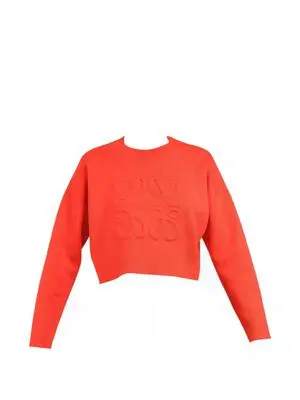 Loewe Fine Knit Sweaters For Women