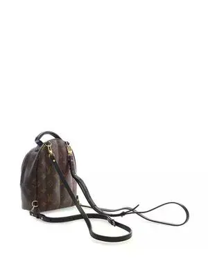LOUIS VUITTON 2020 Monogram Mini Palm Springs Backpack - Brown