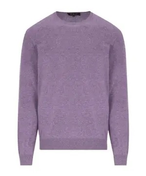 Loro Piana Crew-neck Sweater - Purple