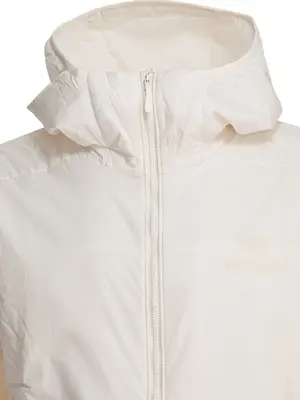 Arc'teryx Atom Hooded Jacket