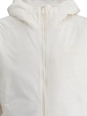 Arc'teryx Atom Hooded Jacket