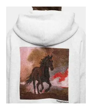 Zadig&Voltaire Long-sleeve Hooded Sweatshirt