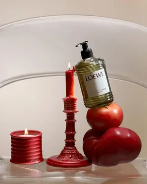 LOEWE PERFUMES Tomato Leaves Wax Scented Candleholder 11.2 Oz