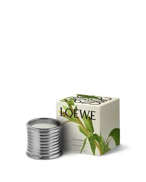 LOEWE PERFUMES Black Sesame Scented Candle 9.8 Oz