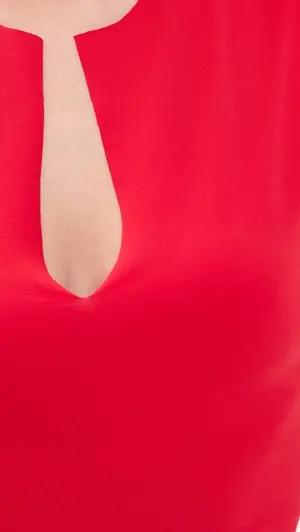 Lioness Tribeca Top