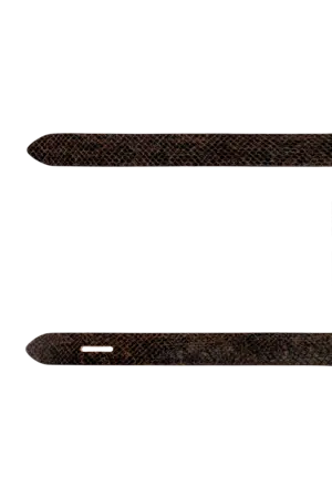 Isabel Marant Étoile Lecce Belt