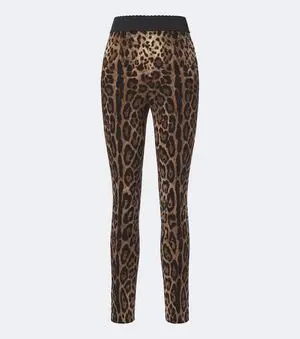 Dolce & Gabbana Leopard-print Leggings