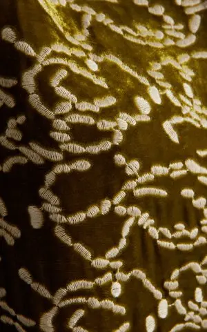 Christopher Esber Embroidered Silk Velvet Robe Coat