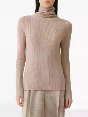 Fabiana Filippi Ribbed Roll-neck Sweater