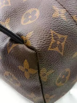 LOUIS VUITTON 2019 Palm Springs Pm Monogram Backpack
