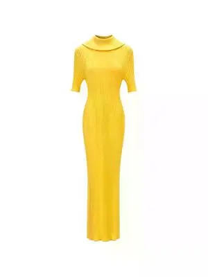 Elisabetta Franchi Ribbed-knit Roll-neck Midi Dress - Yellow