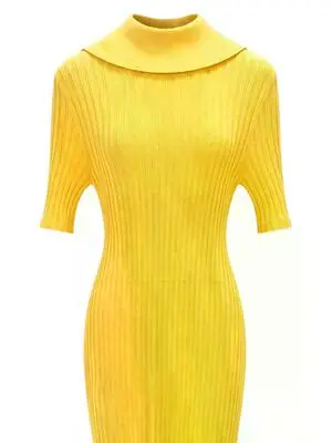 Elisabetta Franchi Ribbed-knit Roll-neck Midi Dress
