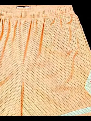 ERIC EMANUEL Basic V2 Mesh Shorts