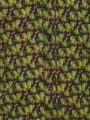 Dolce & Gabbana Gold Cactus-print Shirt