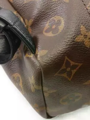 LOUIS VUITTON 2021 Monogram Reverse Palm Springs Backpack