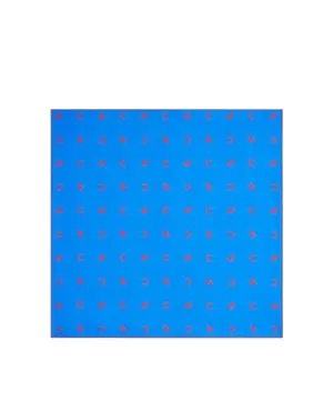 Celine Square In Silk Twill