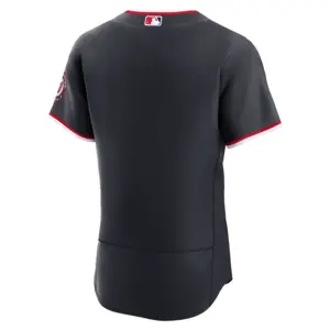Nike Washington Nationals Mlb Authentic Jersey