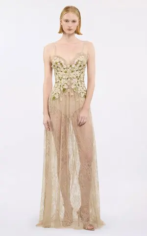 Elie Saab Floral-embellished Lace Maxi Dress