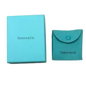 Tiffany & Co. Sterling Silver Atlas Lariat Necklace