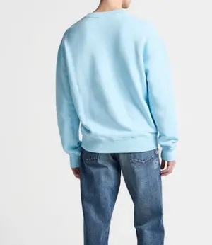 J.W.ANDERSON Painted Birds Sweatshirt In Sky Blue