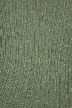 Fabiana Filippi Turtleneck Knit Top