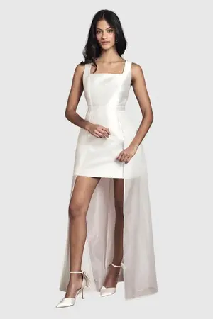Coast Slip Dresses
