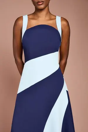 Coast Color Block Midi Dress