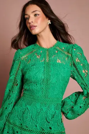 Coast Lace Panel Long Sleeve Midi Dress