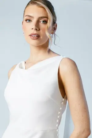 Coast Chiffon Cowl Neck Maxi Dress