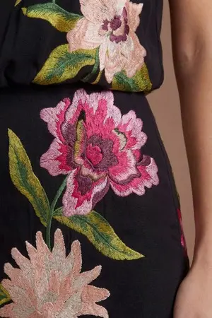 Coast Floral Embroidered Halter Neck Maxi Dress