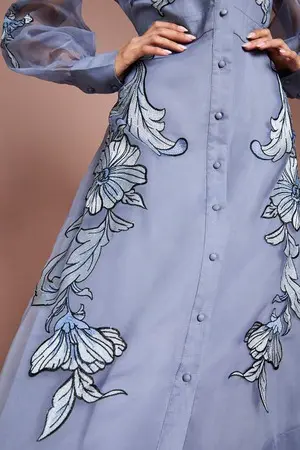 Coast Embroidered Sheer Sleeve Midi Dress - Blue