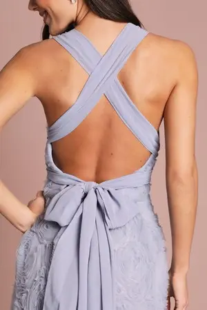 Coast Embroidered Tie Back Maxi Dress