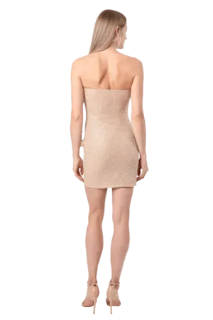 SELF-ADORE Rose Hand Beaded Embellished Mini Dress