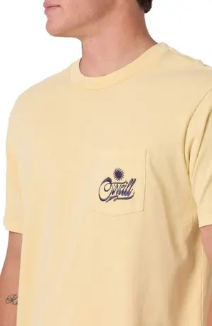 O'Neill Twisted Sun Vintage Graphic Pocket T-shirt - Pineapple Slice