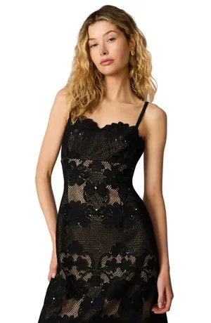 Steve Madden Willow Scalloped Floral Lace Midi Dress - Black