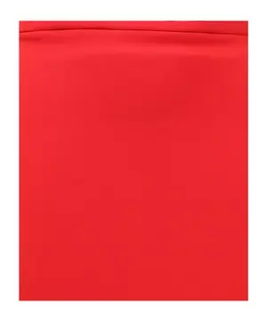 Elisabetta Franchi Slit Skirt