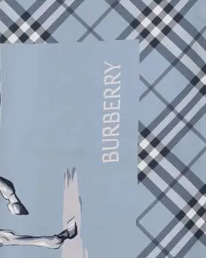 Burberry Archive Knight Scarf