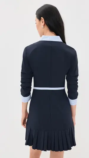 Cinq À Sept Stripe Shirting Lucilla Dress