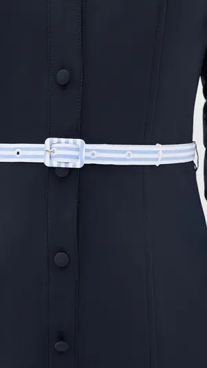 Cinq À Sept Stripe Shirting Lucilla Dress