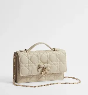 Dior Mini Bag