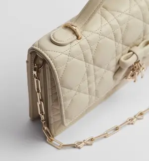 Dior Mini Bag