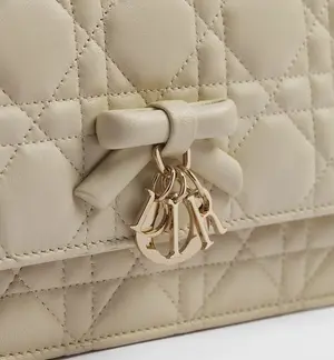 Dior Mini Bag