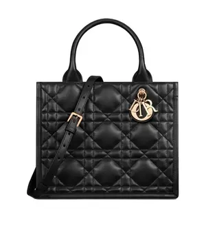 Dior Small Book Tote