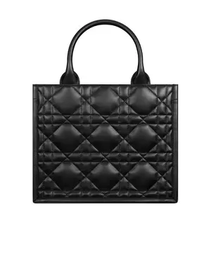 Dior Small Book Tote