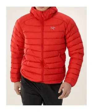 Arc'teryx Cerium Hooded Down Jacket
