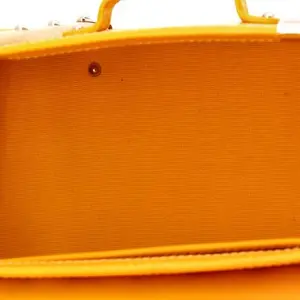 Goyard Structured Saigon Top Handle Bag Coated Canvas With Leather Mini